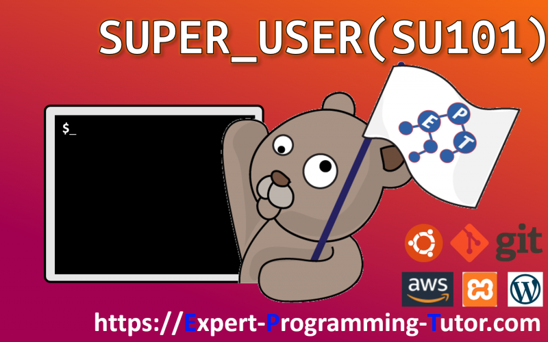 Expert-Programming-Tutor-Online-Learning