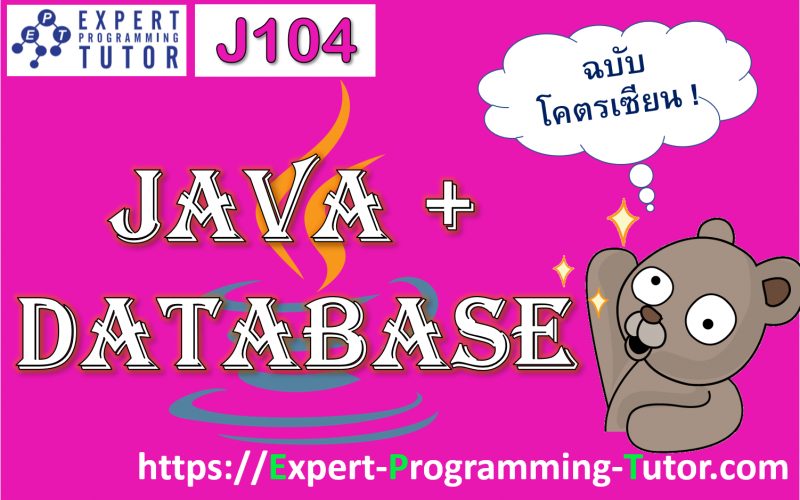 Expert-Programming-Tutor-Online-Learning