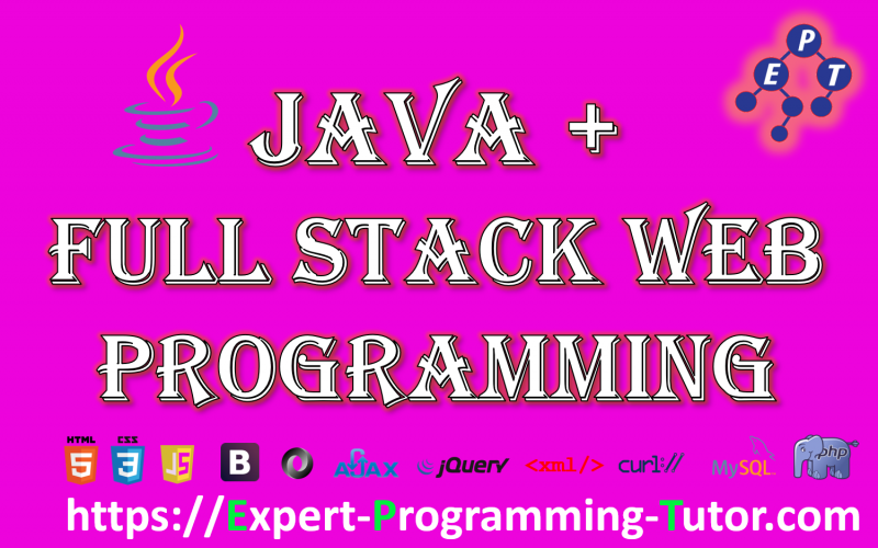 Expert Programming Tutor Online Learning 8655