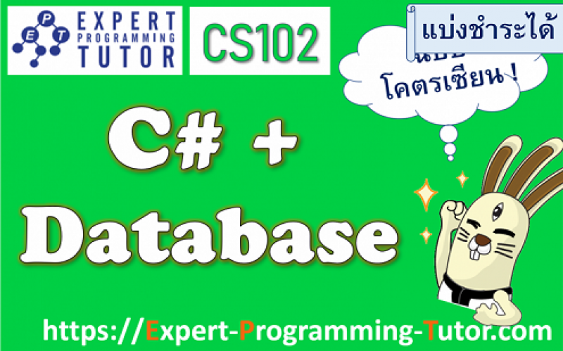 Expert-Programming-Tutor-Online-Learning