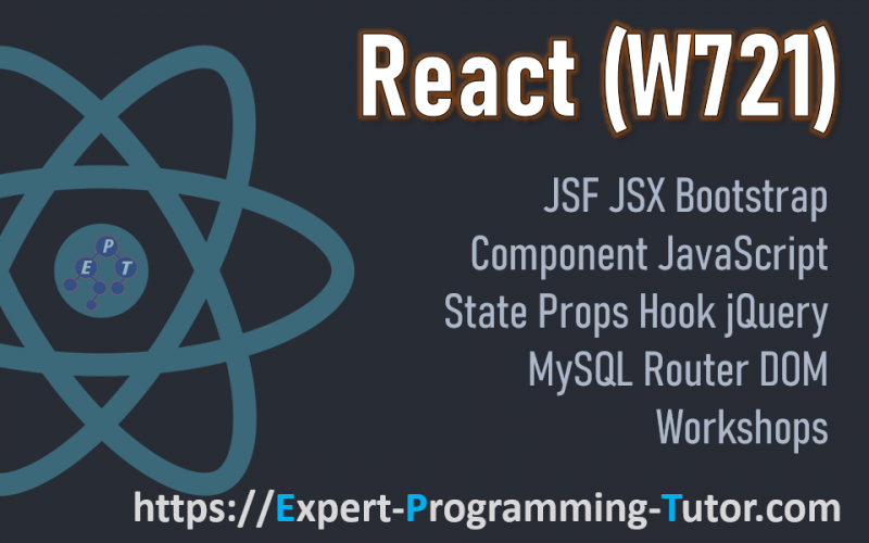 Expert-Programming-Tutor-Online-Learning